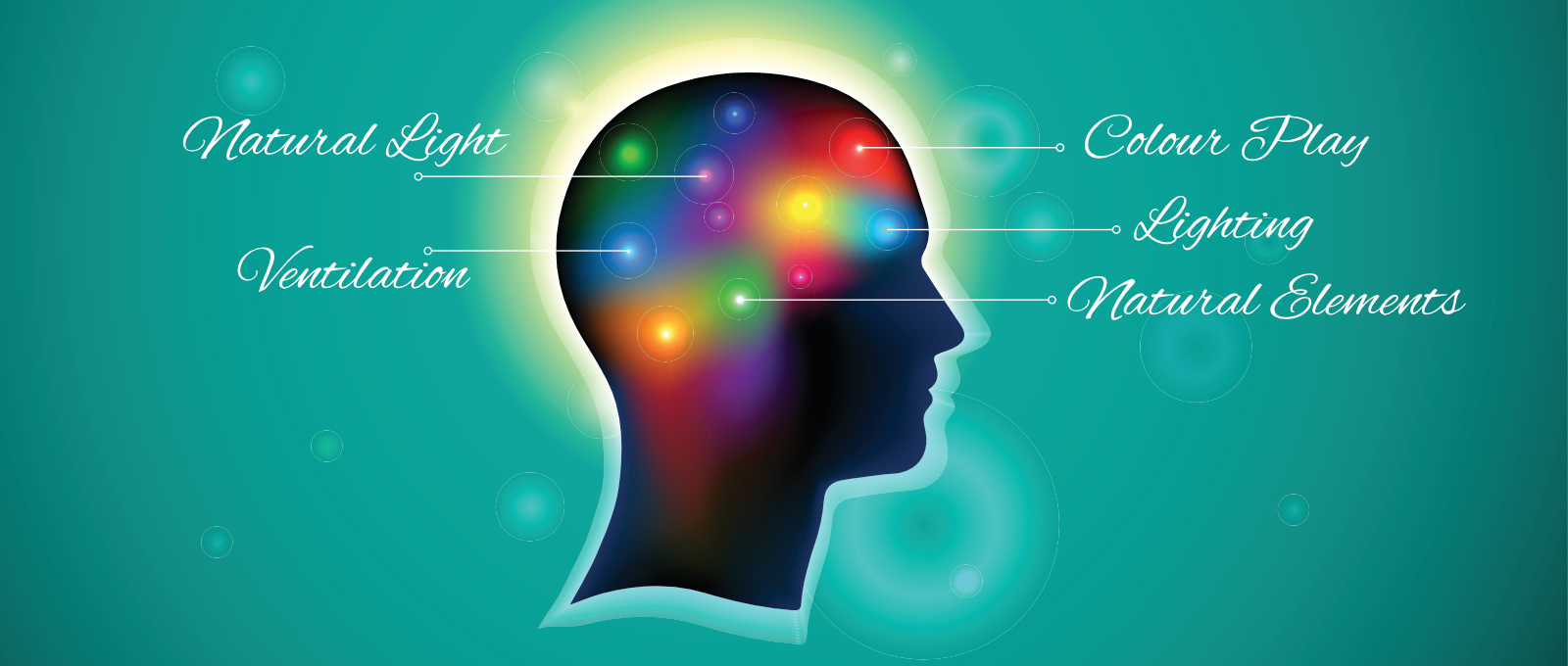 Neuroaesthetics In Architecture | Shree Designs